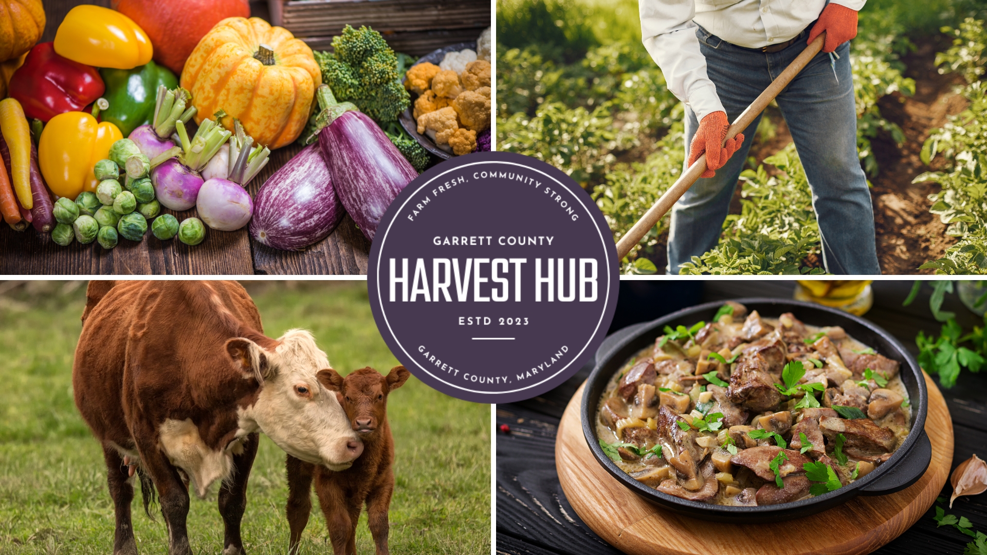 Harvest Hub - Program Planning Survey - Garrett County Food